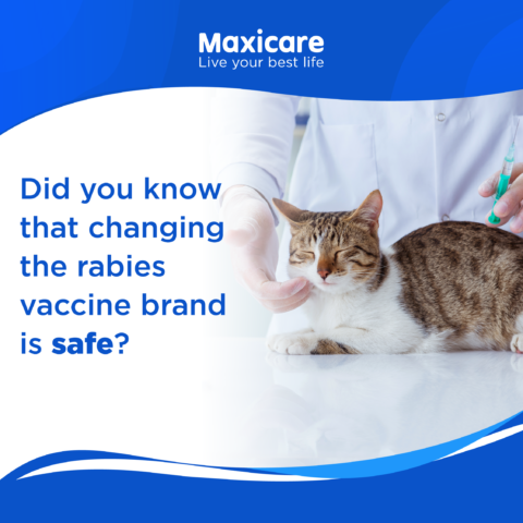 Animal Bite Vaccine Guidelines: Is it safe to mix rabies vaccine brands? - Premier Healthcare ...