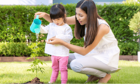 HMO Philippines | HMO health insurance | Health card | Maxicare